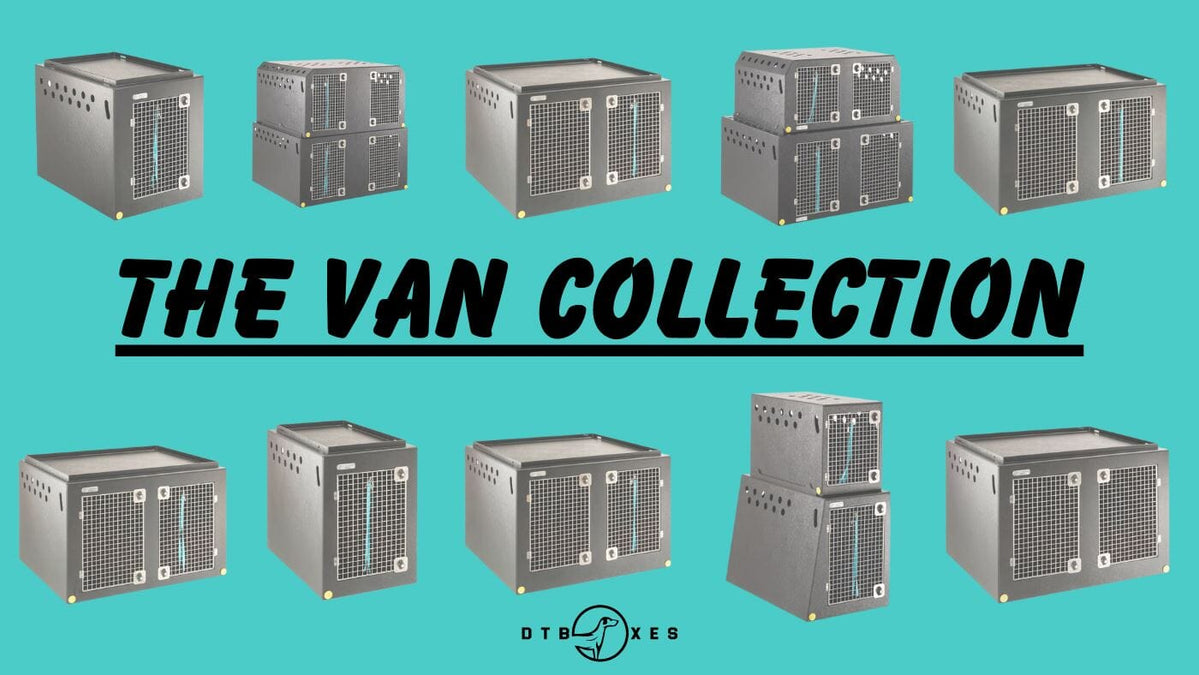 The Van Collection — DT BOXES