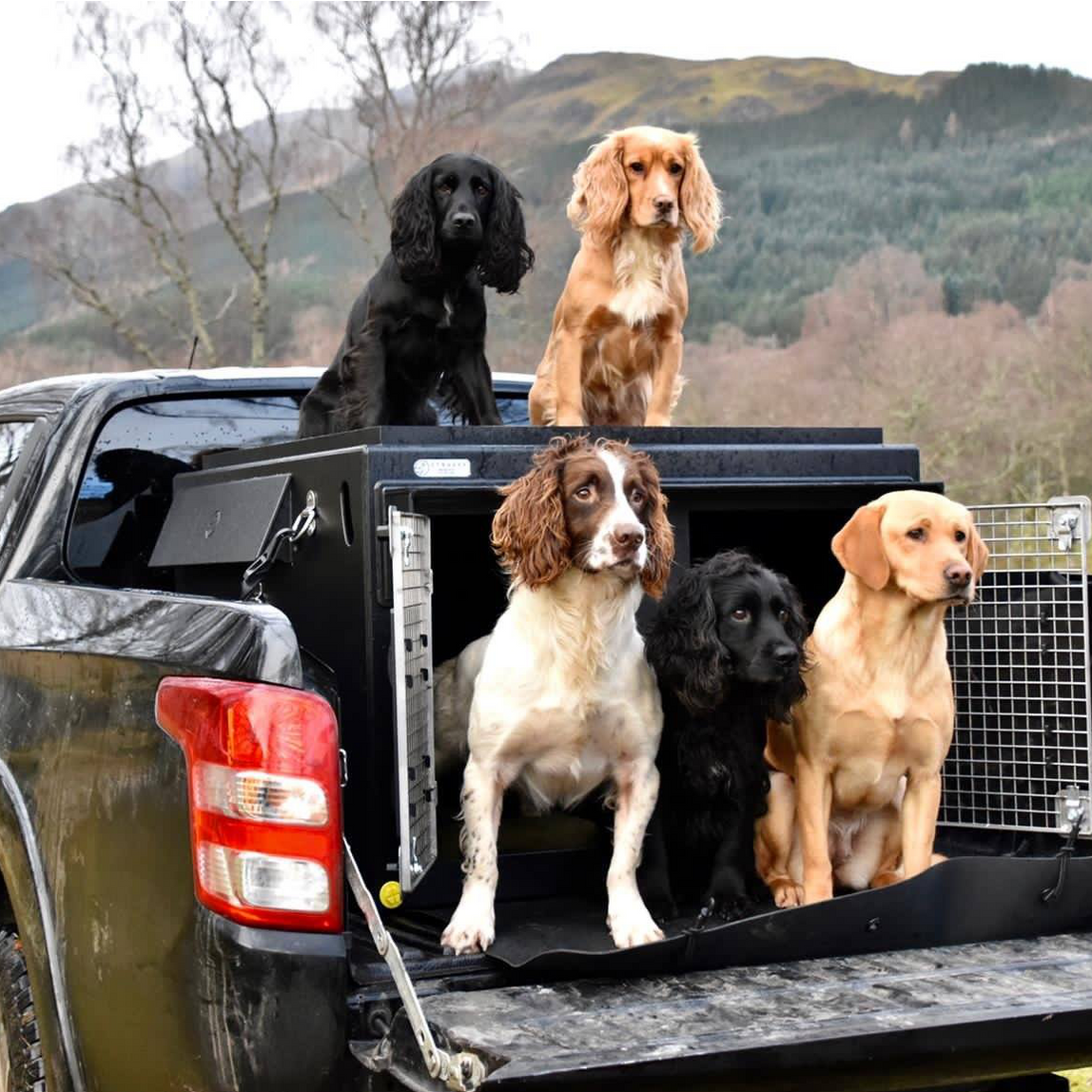 ISUZU D-MAX | 2002-PRESENT | DOG PICKUP CRATES — DT BOXES