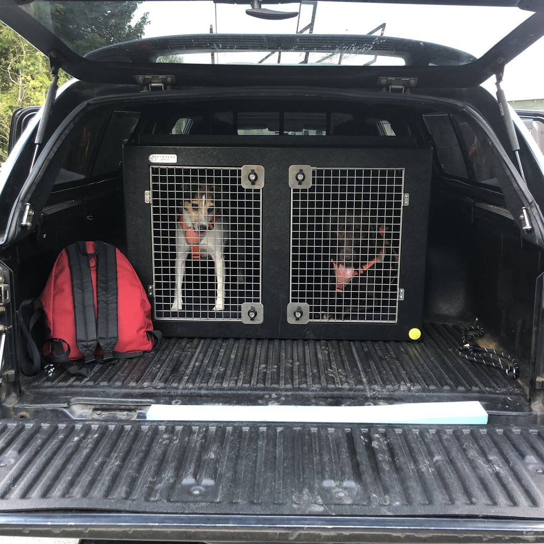 FORD RANGER RAPTOR | 2019-PRESENT | DOG PICKUP CRATES — DT BOXES