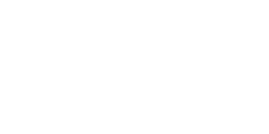 Van & Pickup Dog Boxes - Safe, Secure & Super Tough — DT BOXES