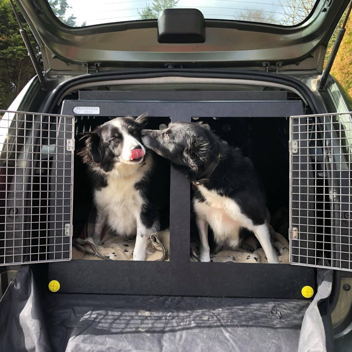 Travel Crate for Dogs Dacia Duster — DT BOXES