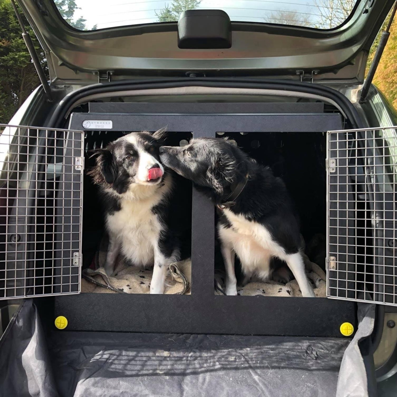 Travel Crate for Dogs Dacia Duster — DT BOXES