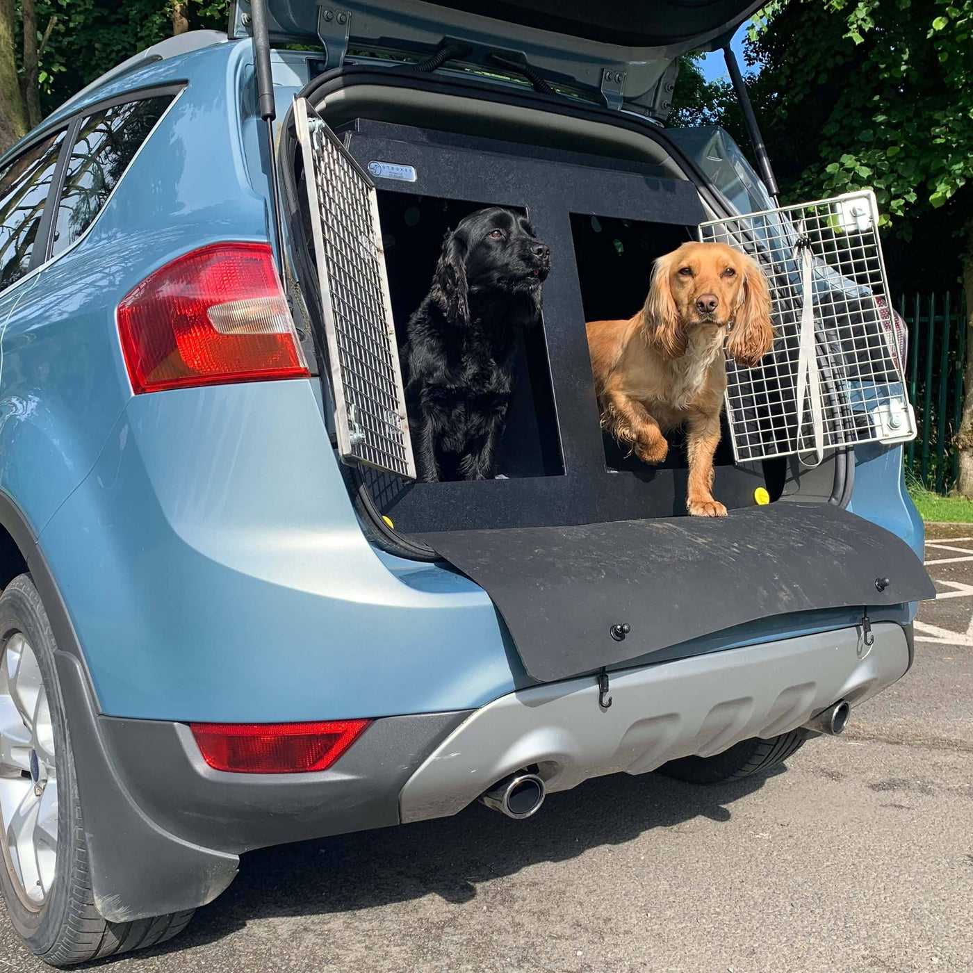 DT 7 Dog Travel Case For Sale — DT BOXES