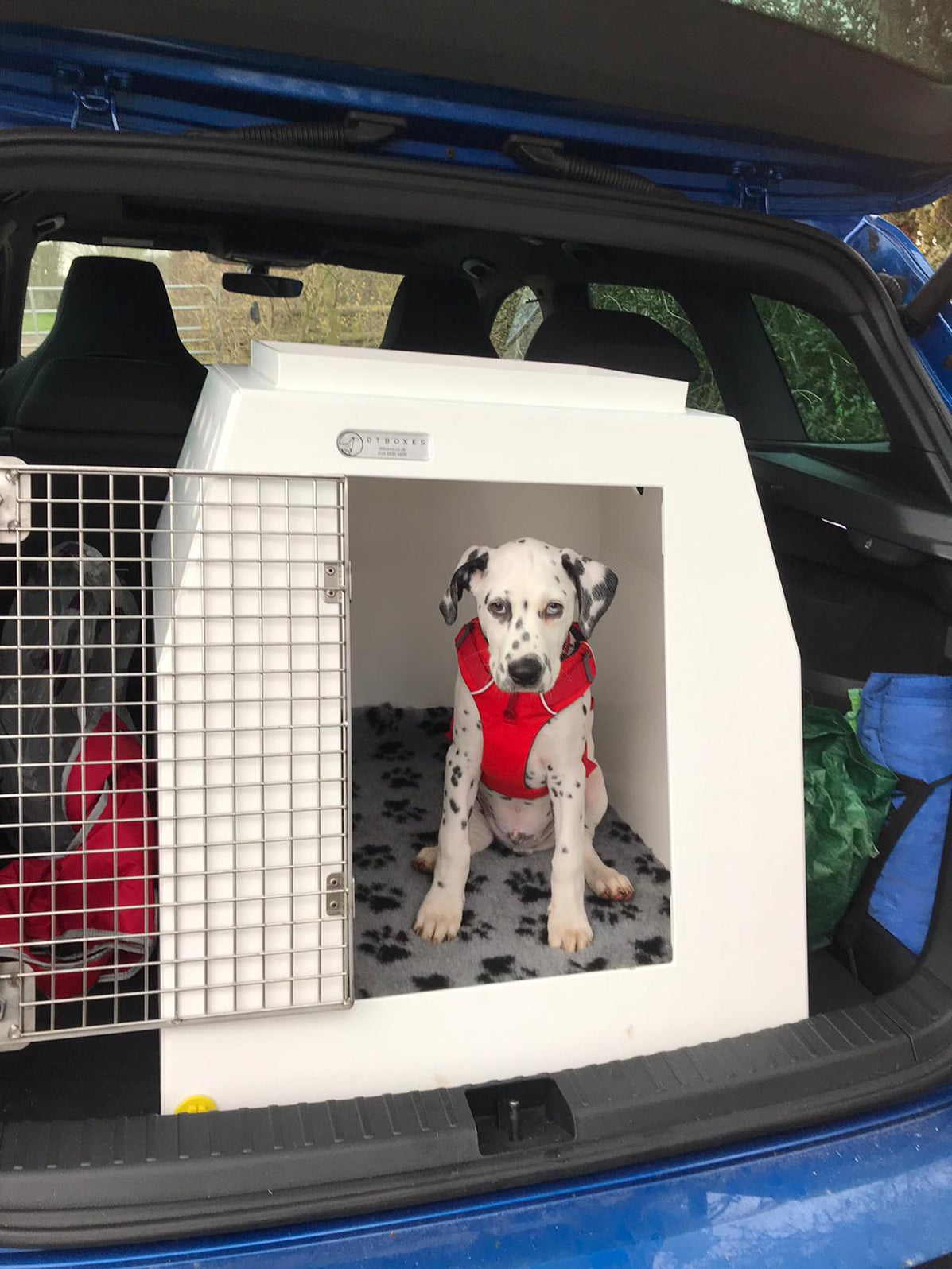 Dog Crate Travel Carrier For Sale — DT BOXES