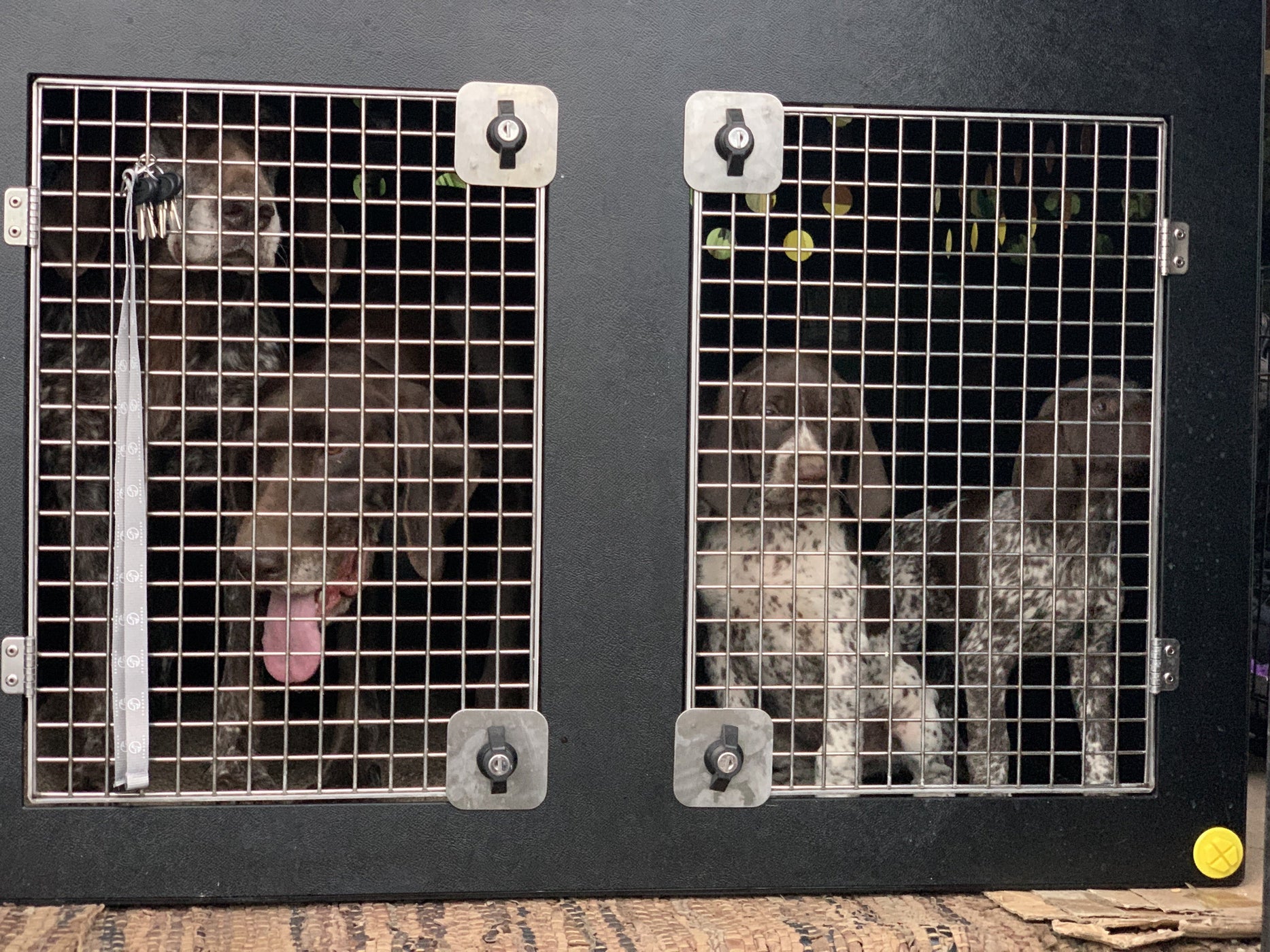 DT 1000L Dog Carrier For Pickup Trucks — DT BOXES
