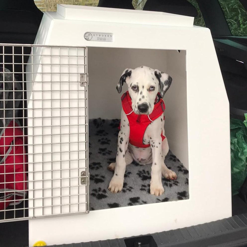 Vet Bedding: Dog Crate Mats For Sale — DT BOXES