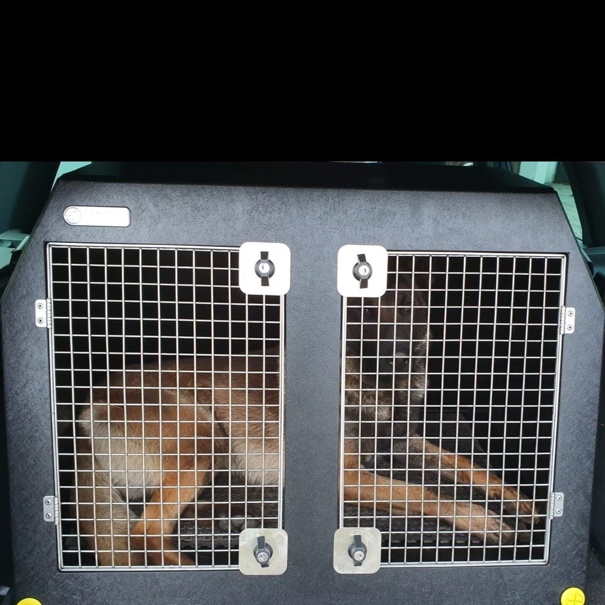 Jeep Compass Transport Cage For Dogs For Sale — DT BOXES