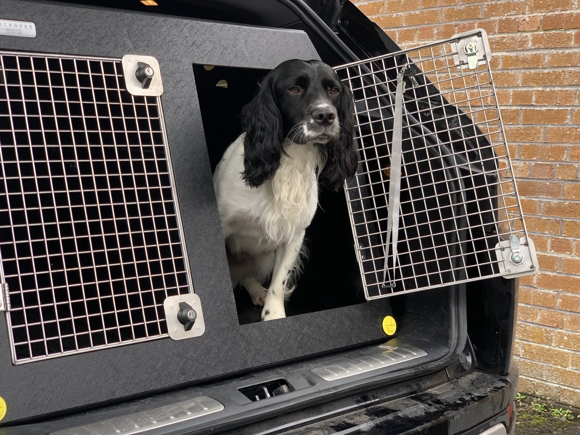 Jeep Compass Transport Cage For Dogs For Sale — DT BOXES
