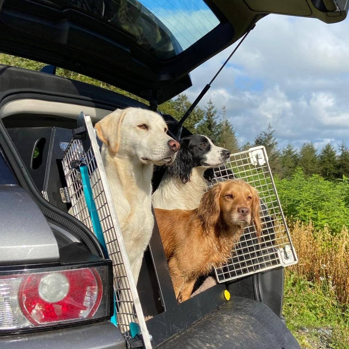 Jeep Compass Transport Cage For Dogs For Sale — DT BOXES