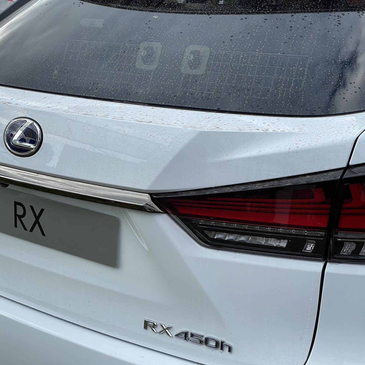 Lexus RX 450H Dog Car Transport Boxes for Sale — DT BOXES