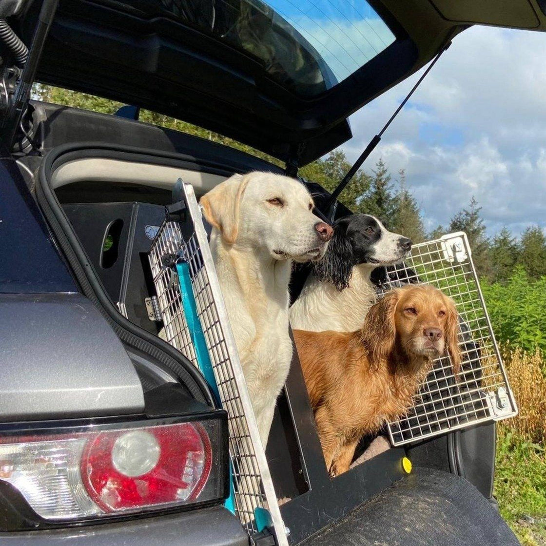 Mercedes GLA Transport Cage For Dogs For Sale — DT BOXES