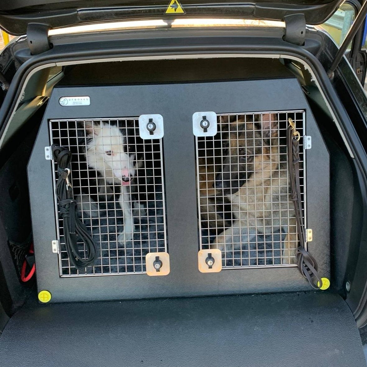 Mitsubishi Outlander PHEV Dog Car Transport Boxes for Sale — DT BOXES