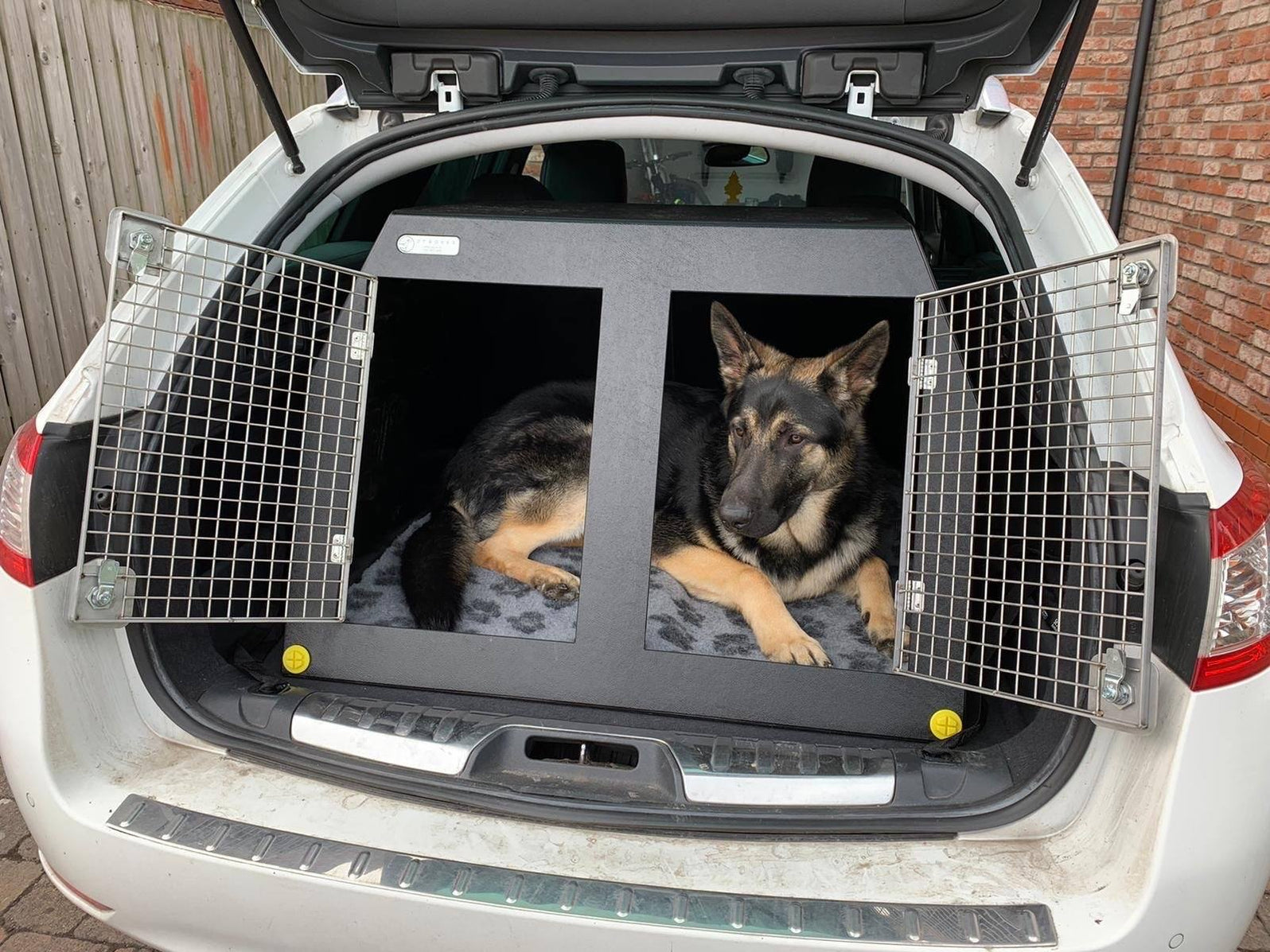 DT 4 Dog Car Transport Boxes for Sale — DT BOXES