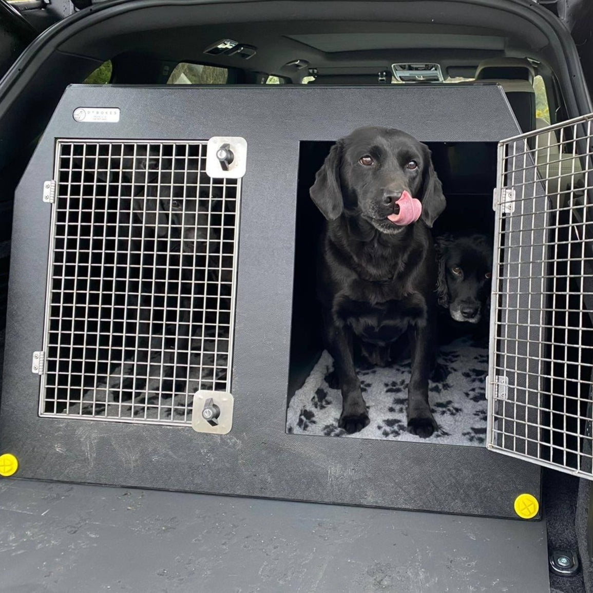 Range Rover Vogue | 2012–2021 | Dog Travel Crate | The DT 11 — DT BOXES