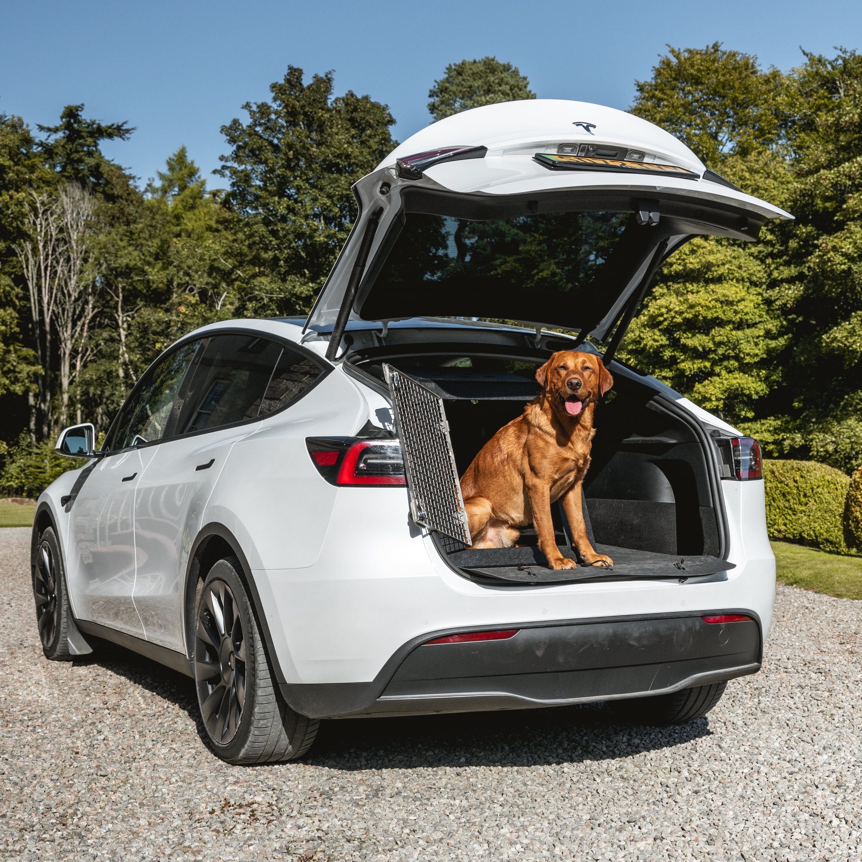 Tesla Model Y Crate Travel Carrier For Sale — DT BOXES