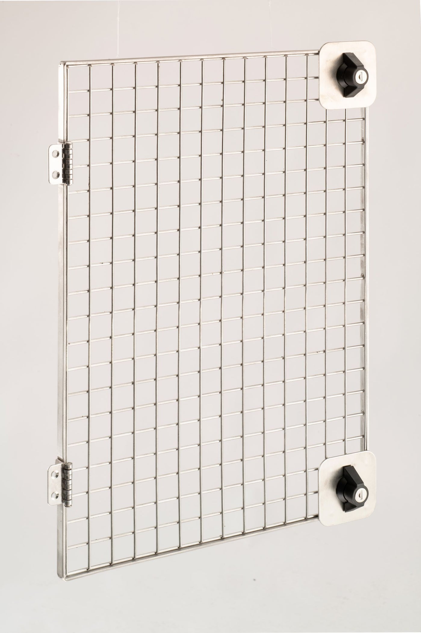 Dog Car Crate for the Toyota Rav4 2019 Onwards - DT 1 — DT BOXES