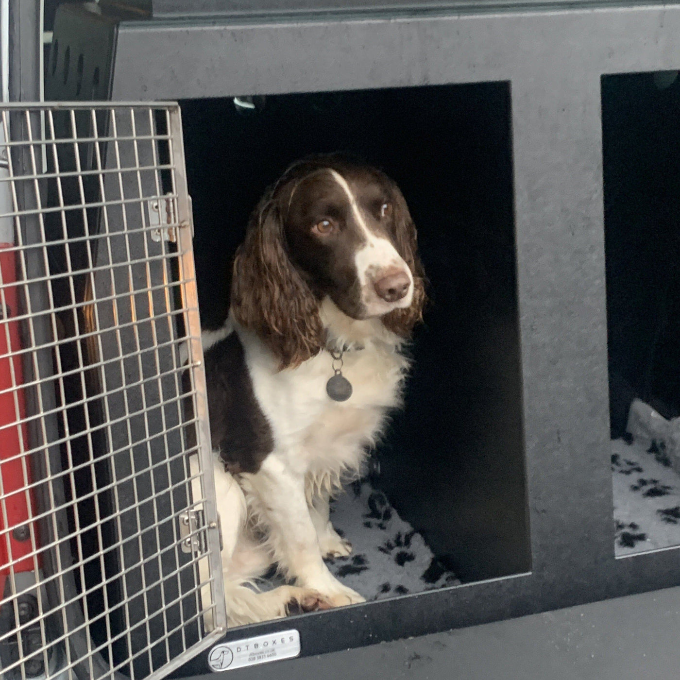 Volkswagen Tiguan 2021-Present Lowered Boot Dog Travel Box — DT BOXES